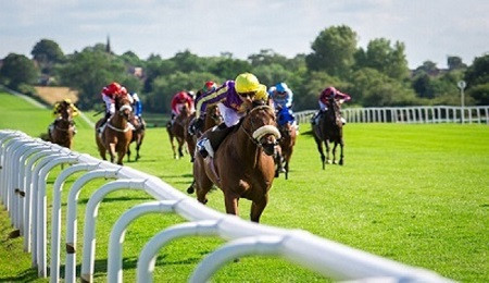 Leicester Racecourse